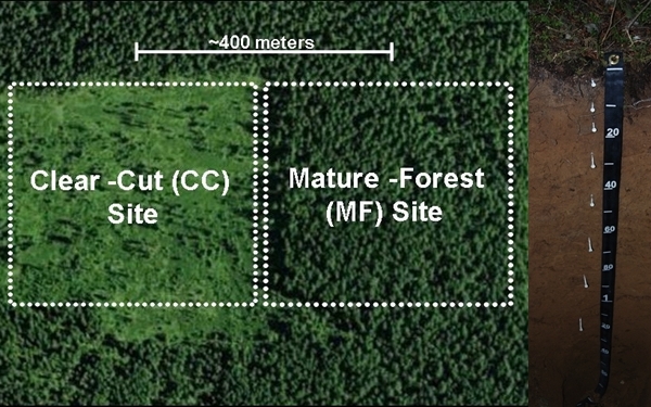 Ecosystem Monitoring | Jonathan J Maynard